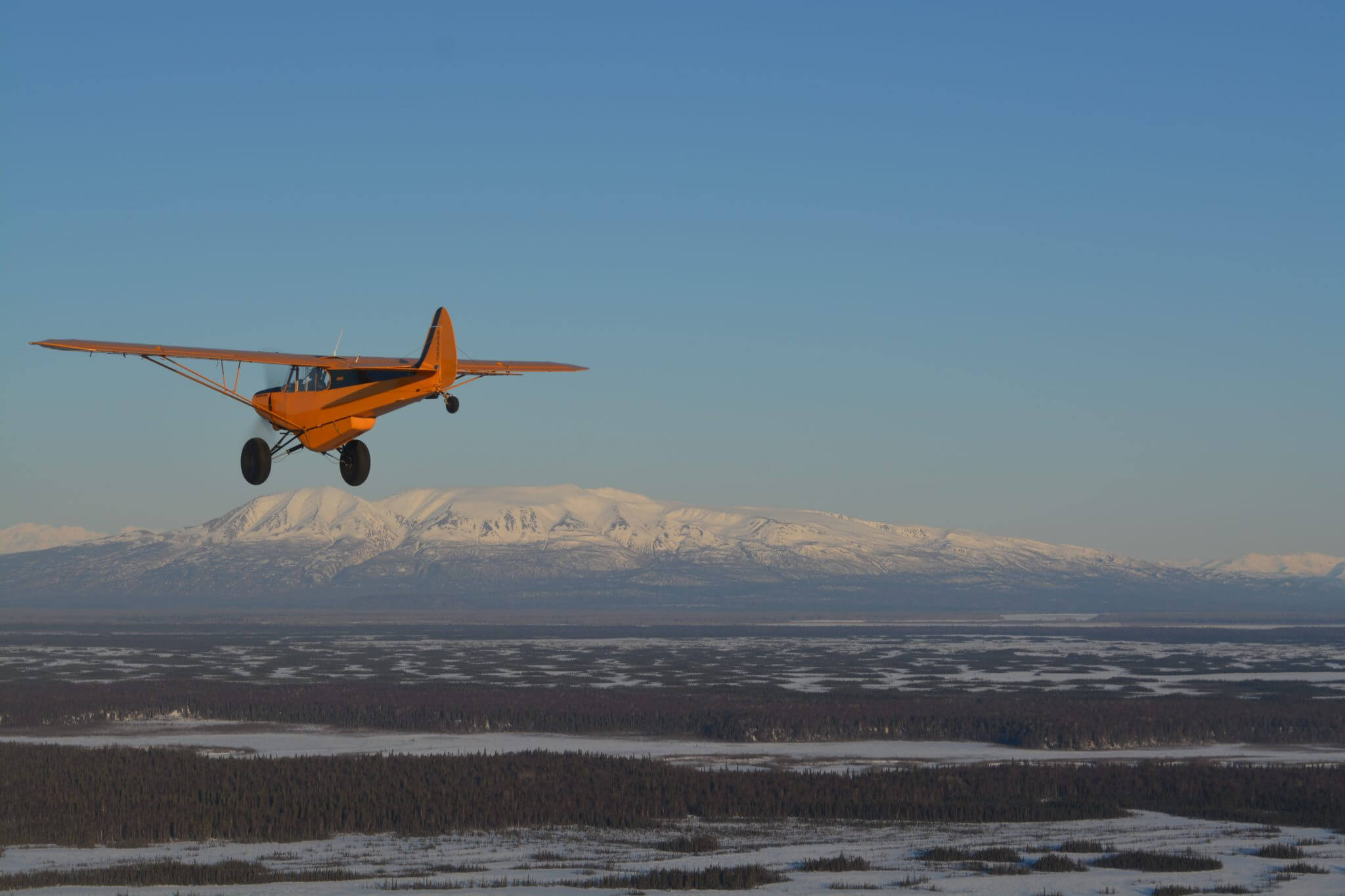 2014 Photo Contest Winners | Alaska Orthopedic Specialists